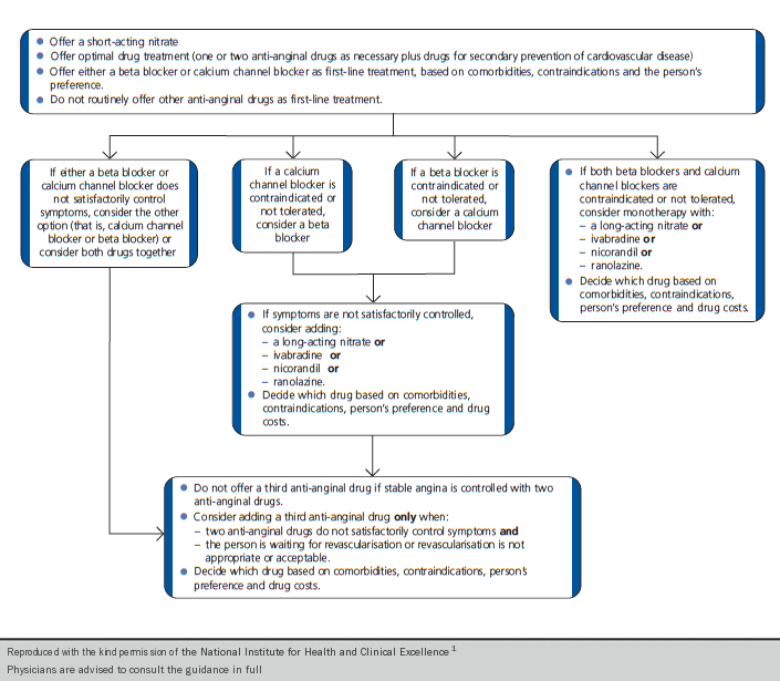 Angina module 6: secondary prevention and treatment - The British ...