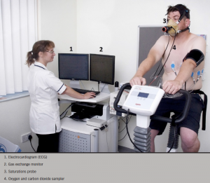 Healthcare professional’s guide to cardiopulmonary exercise testing ...