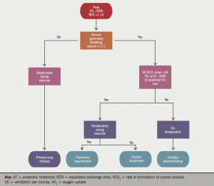 Healthcare professional’s guide to cardiopulmonary exercise testing ...