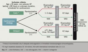 Direct current cardioversion and thromboprophylaxis in atrial ...