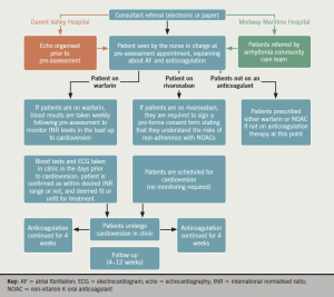 Direct current cardioversion and thromboprophylaxis in atrial ...