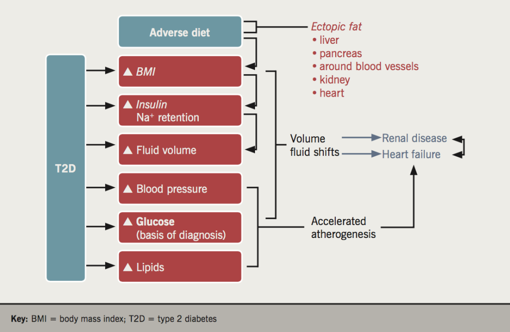 The cardiovascular profile in diabetes