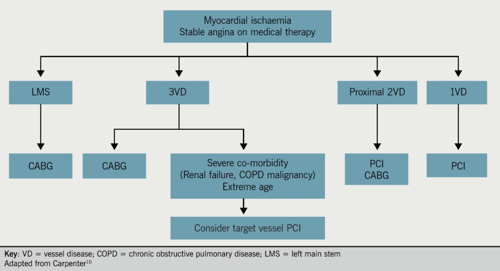 Angina module 7: revascularisation in stable coronary artery disease ...
