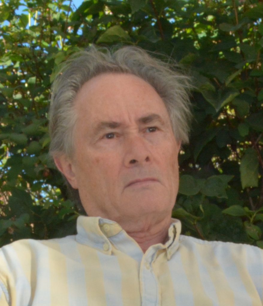 COVID-19 and immunology - The British Journal of Cardiology