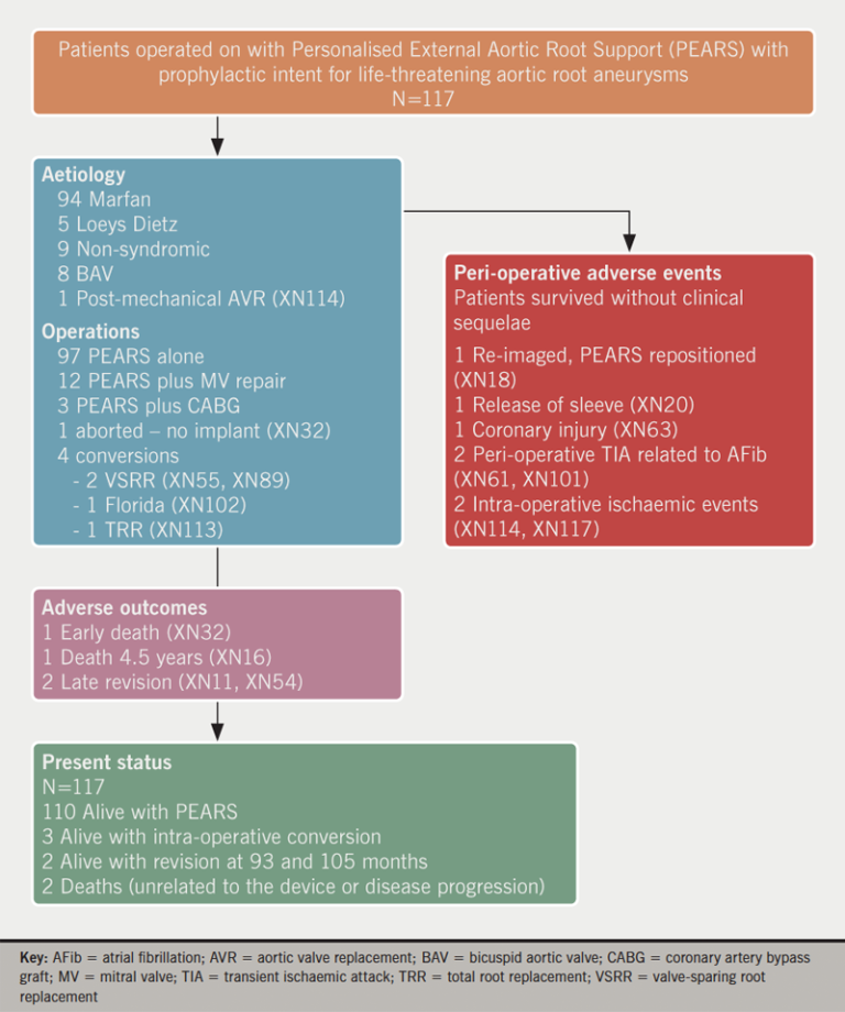 Personalised external aortic root support (PEARS) to stabilise an ...