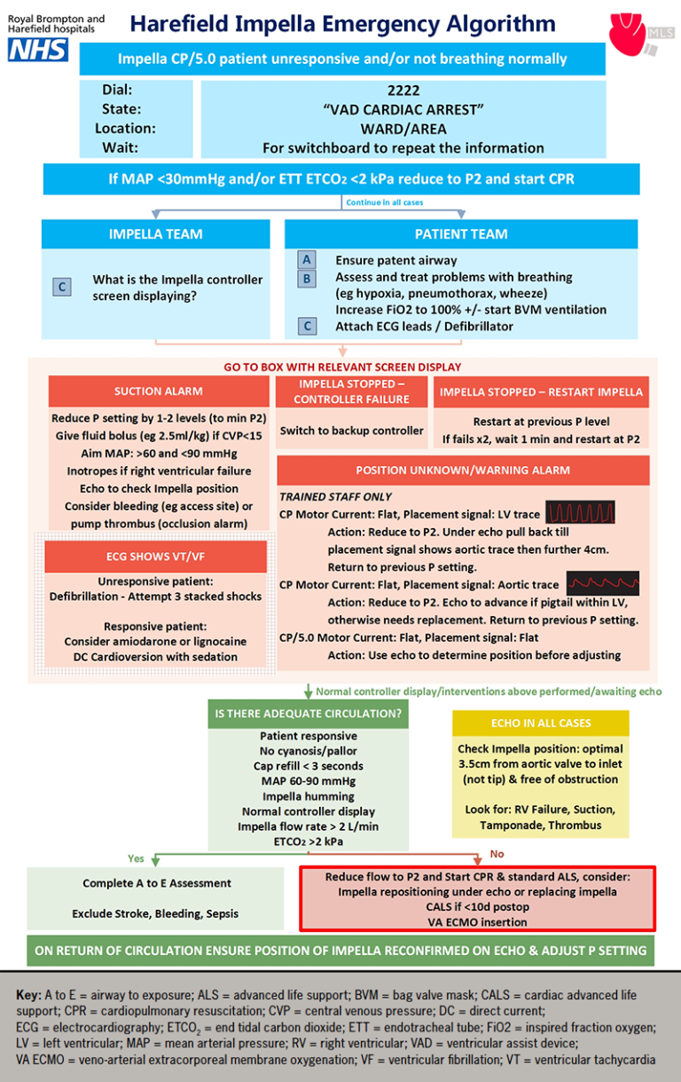 Mechanical life support algorithm for the emergency management of ...