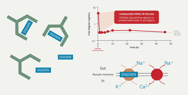 Digoxin: current clinical uses and management of toxicity