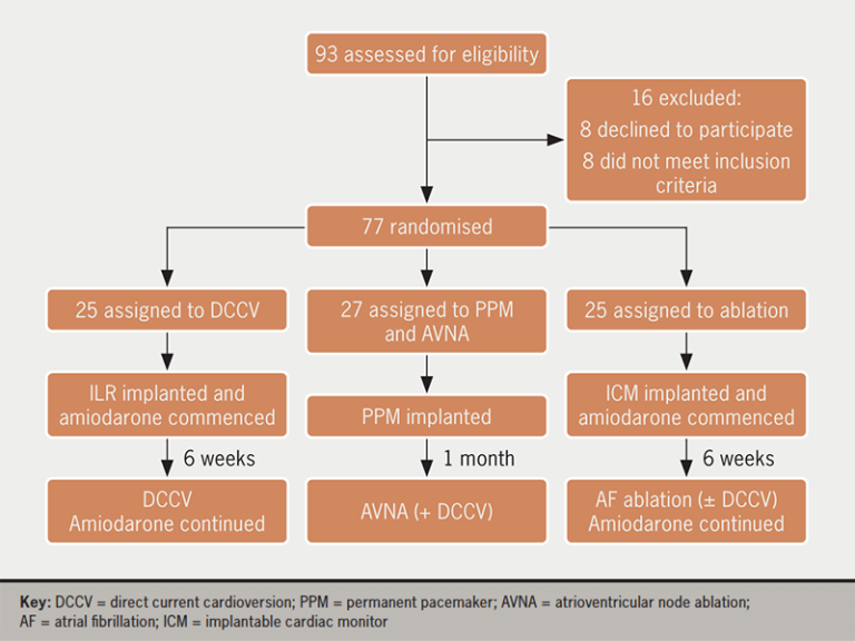 Cardioversion versus ablation versus ‘pace and ablate’ for persistent ...