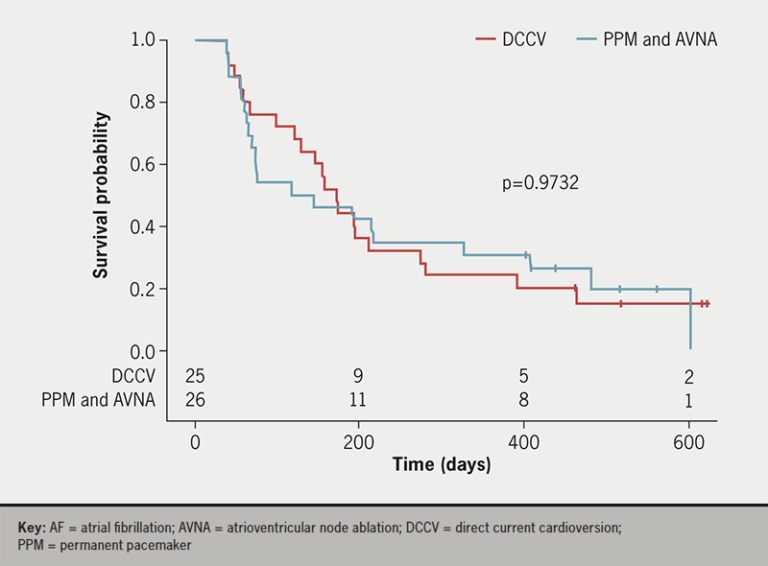 Cardioversion versus ablation versus ‘pace and ablate’ for persistent ...