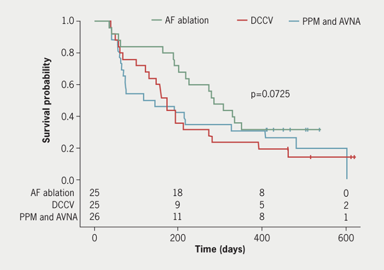 Cardioversion versus ablation versus ‘pace and ablate’ for persistent ...