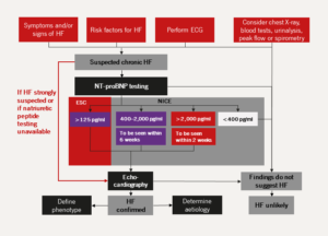 Heart failure learning module 2: diagnosis - The British Journal of ...