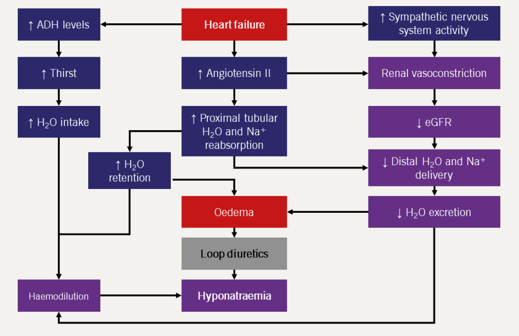 Heart failure module 6: commonly encountered complications in HF
