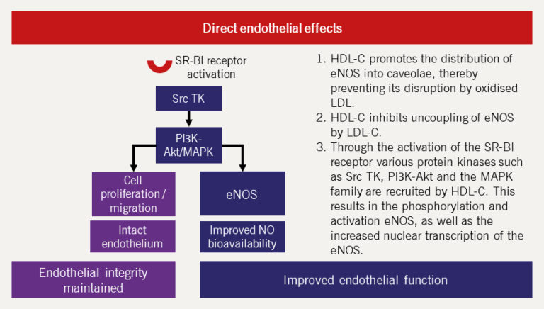 Lipids module 4: treatment of dyslipidaemia
