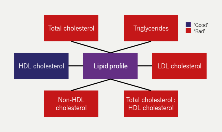 Lipids module 3: clinical diagnosis of dyslipidaemia